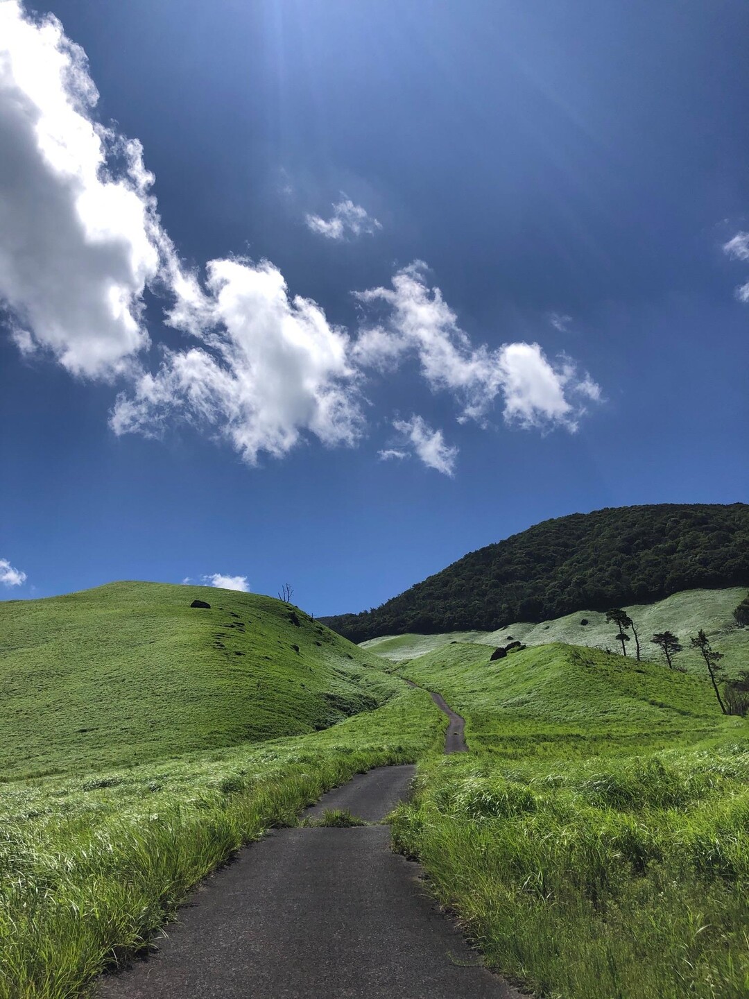くじゅうウエスト② おにぎり山・小にぎり山 / ORIBAさんの涌蓋山・猟師山の活動データ | YAMAP / ヤマップ