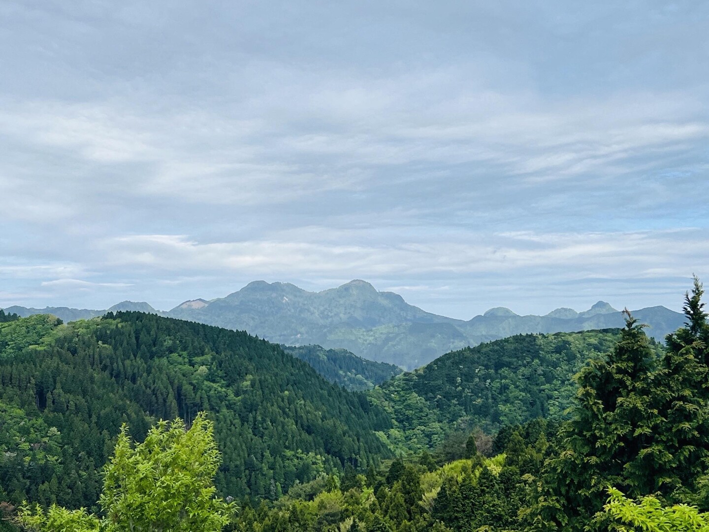大将陣山 R5.5.5 / naoさんの大将陣山の活動データ | YAMAP / ヤマップ