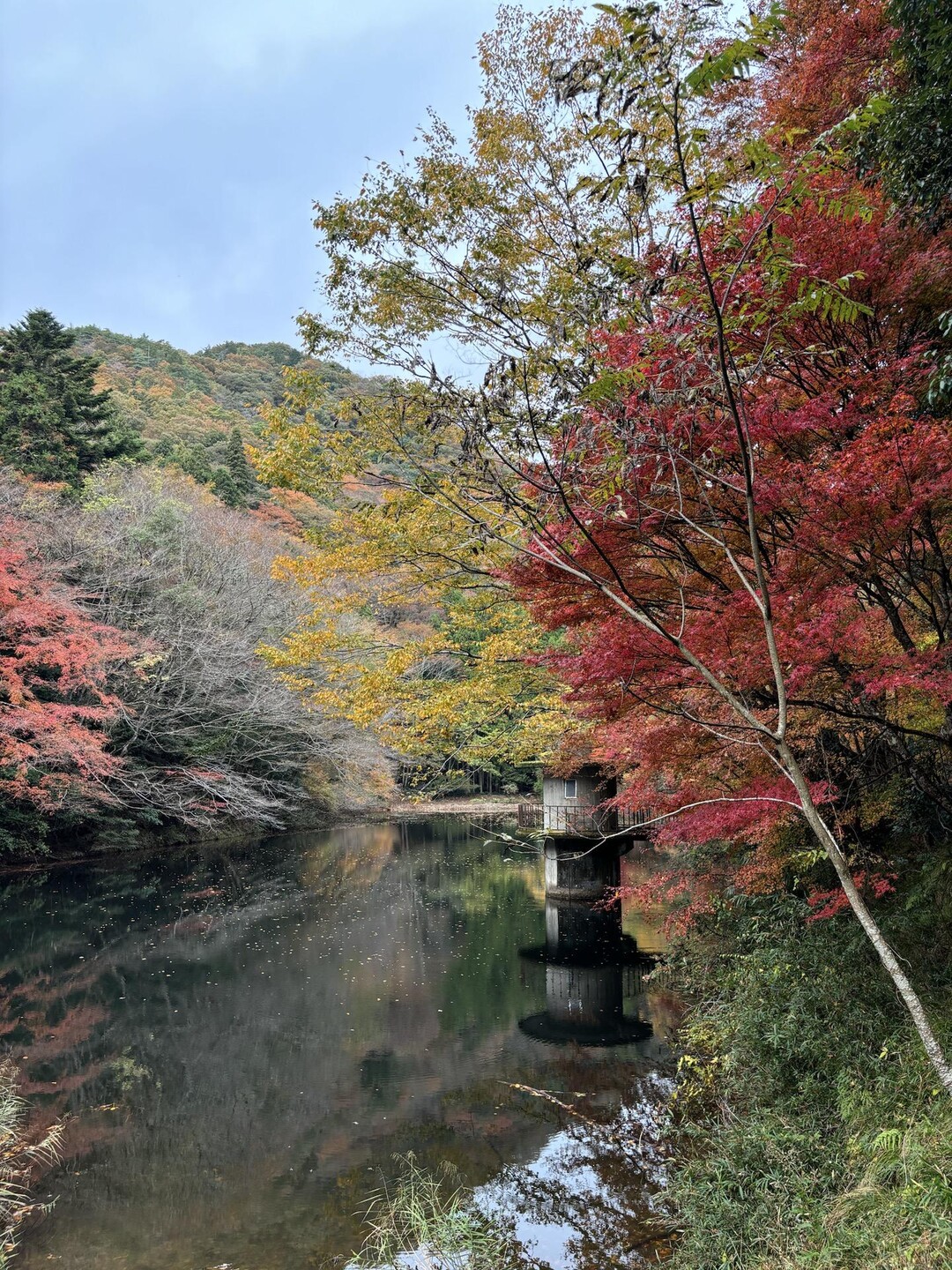 第十一回山田大会in三嶽山 秋の紅葉と... / 301さんのモーメント | YAMAP / ヤマップ