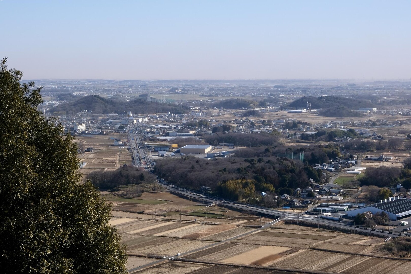 早春の三毳山 / shinshinさんの三毳山の活動データ | YAMAP / ヤマップ