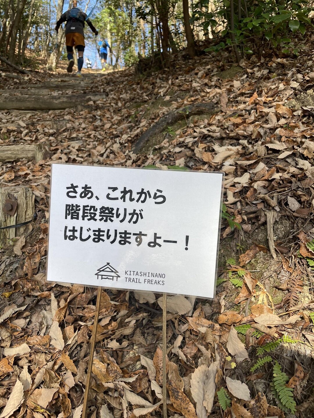 養老山地トレイルランニングレース / NNNRさんのランニングの活動データ | YAMAP / ヤマップ