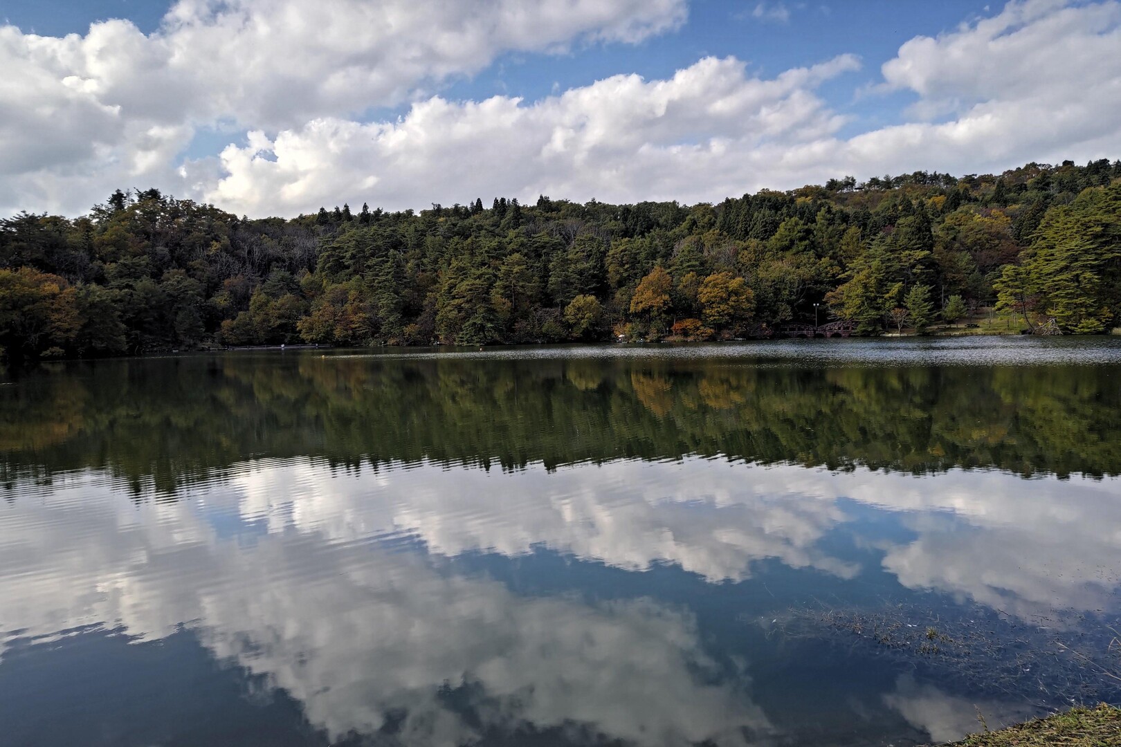 ハイキング-2022-11-09 / ikkoさんのハイキングの活動データ | YAMAP / ヤマップ