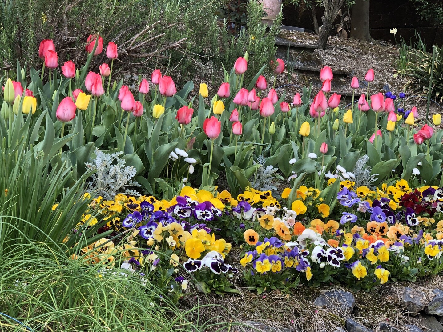 暖かいごぜんのさんぽ / SCORE さんのモーメント | YAMAP / ヤマップ