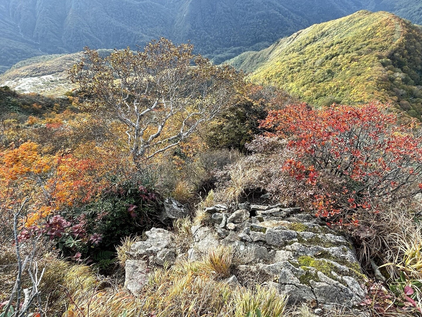 YUUKI🏔さんの投稿したフィールドメモ | YAMAP / ヤマップ