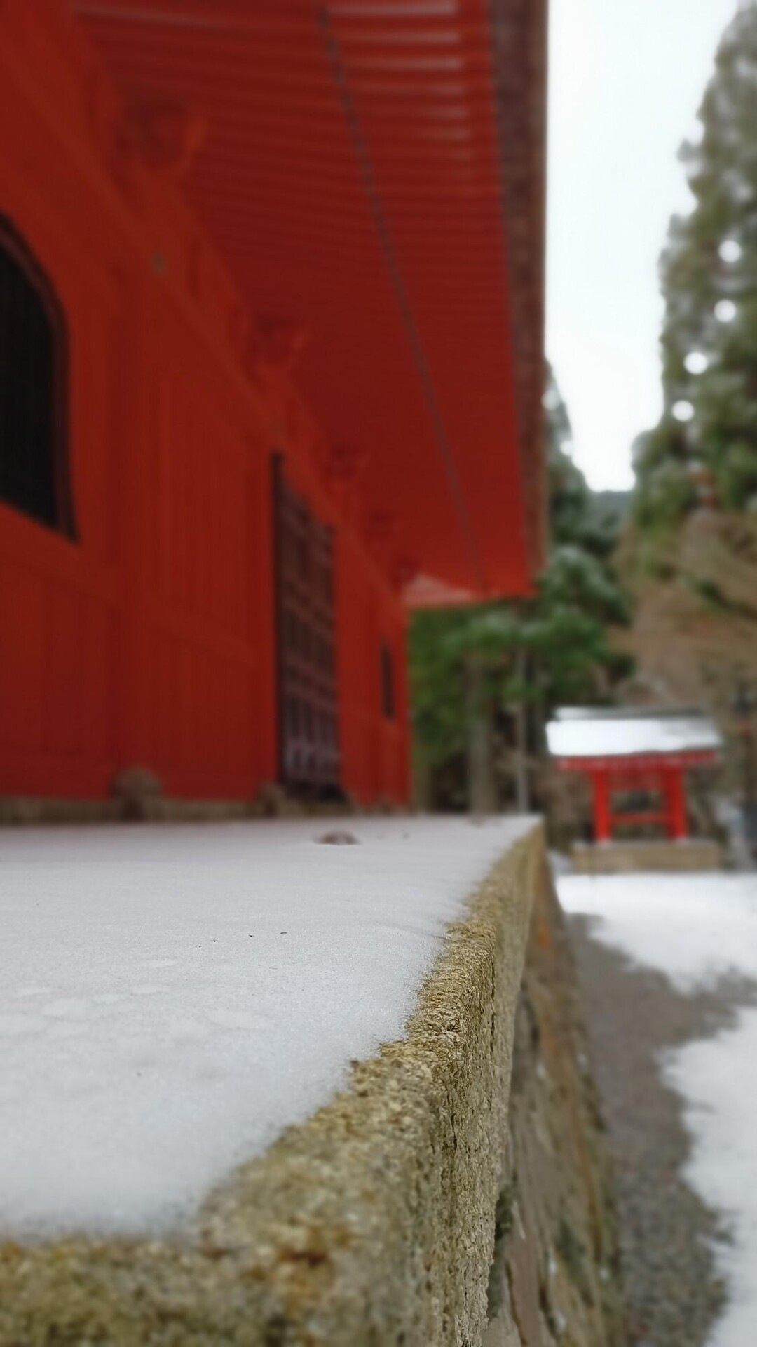 比叡山延暦寺 (本坂)-2025-01-13 / NOBUさんさんのウォーキングの活動データ | YAMAP / ヤマップ