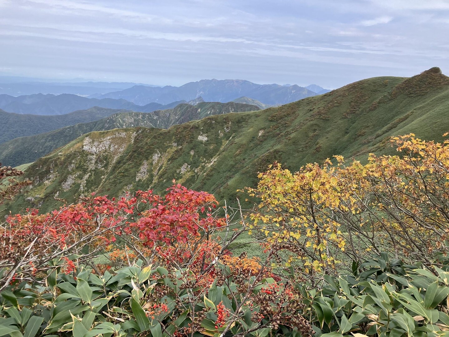 谷川岳（トマの耳）・谷川岳（オキノ耳）・一ノ倉岳・茂倉岳・矢場の頭-2023-10-08 / YuZOさんの谷川岳・七ツ小屋山・大源太山の活動データ | YAMAP / ヤマップ