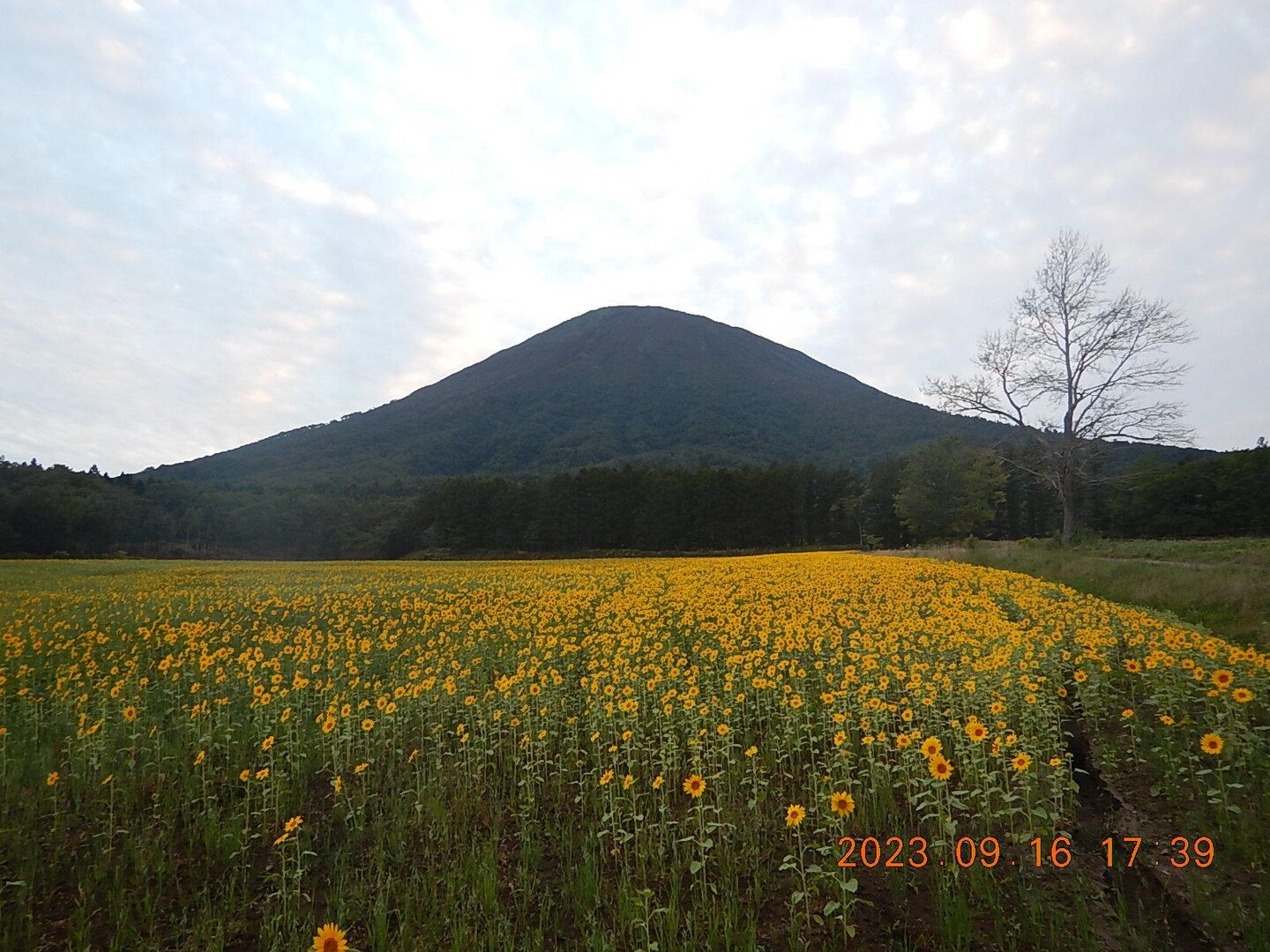 羊蹄山 京極コース-2023-09-16 / came-ponさんの羊蹄山（蝦夷富士）の活動データ | YAMAP / ヤマップ