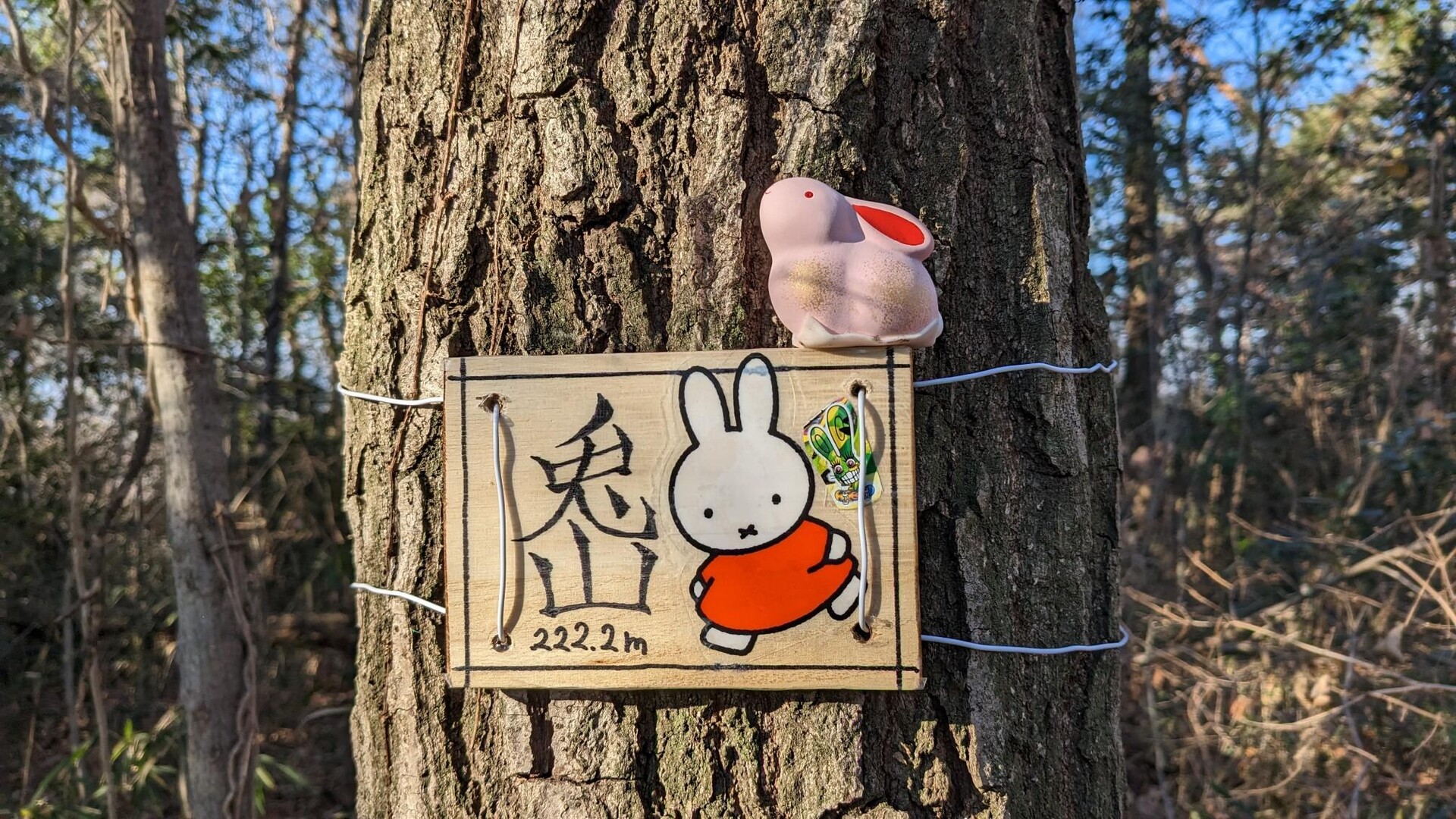 YAMAPでは山頂になっていない🐰ウサギ年に兎山 / maaさんの鹿田山の活動データ | YAMAP / ヤマップ