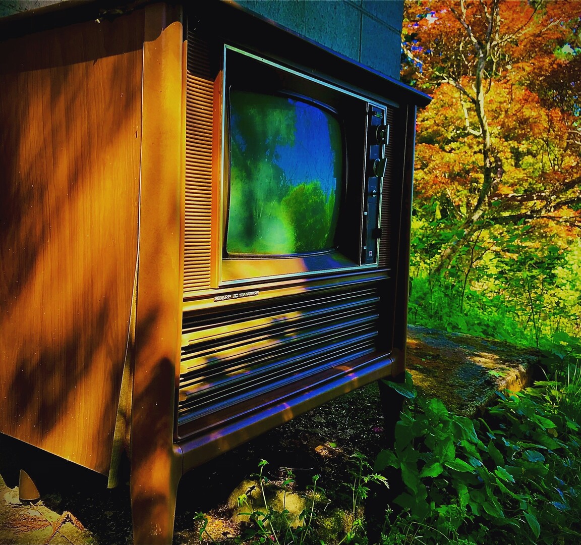 インターハイ登山競技がいよいよ香川県で始... / xmatyoさんのモーメント | YAMAP / ヤマップ