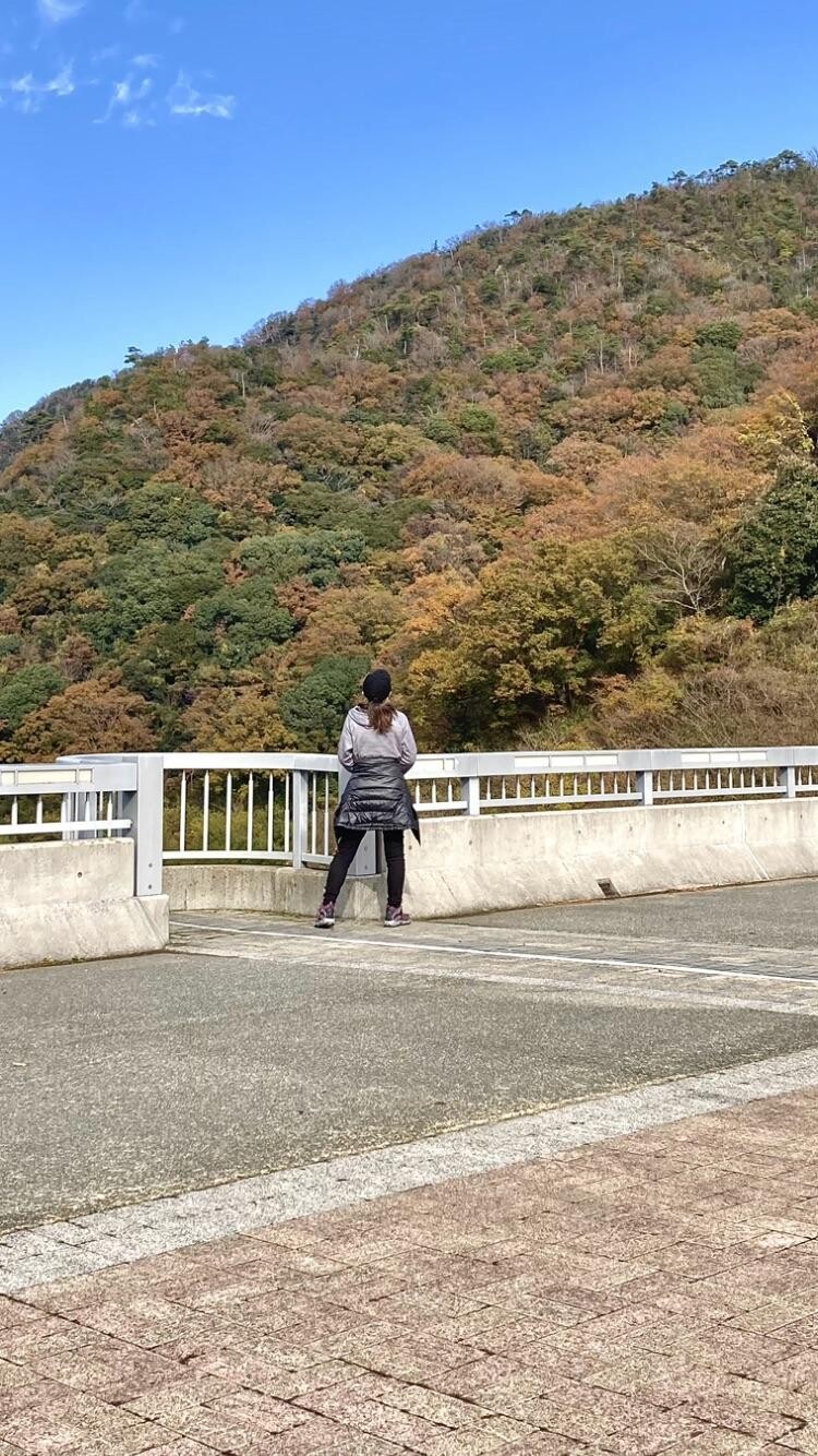 chieのページ | YAMAP / ヤマップ