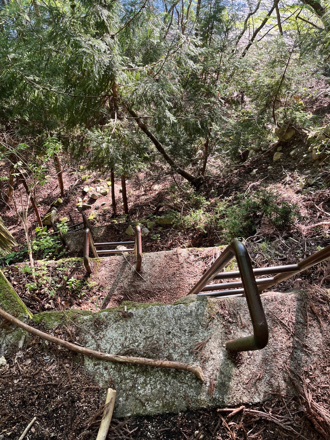 mskふぅさんの投稿したフィールドメモ | YAMAP / ヤマップ