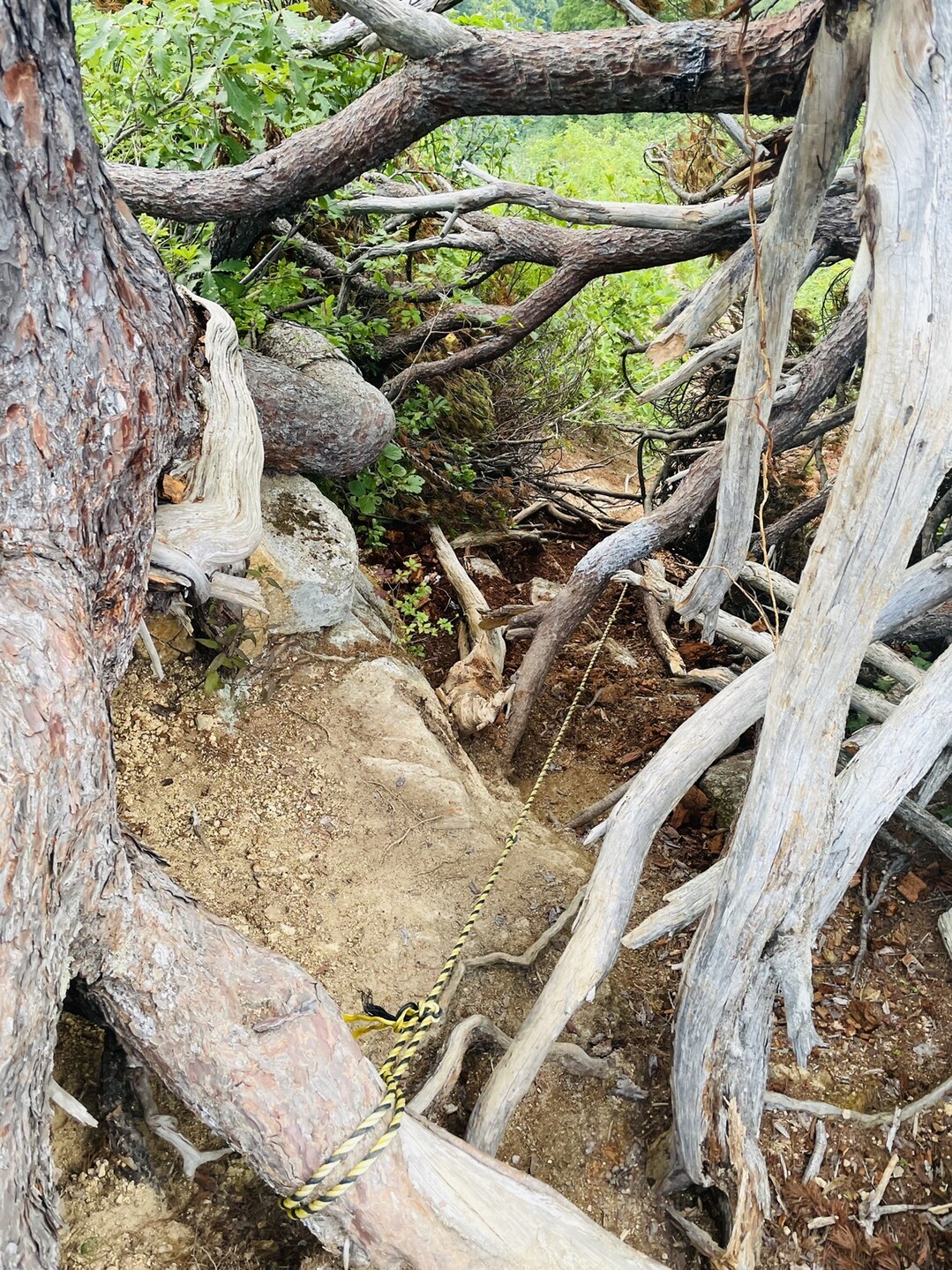 otouさんの投稿したフィールドメモ | YAMAP / ヤマップ