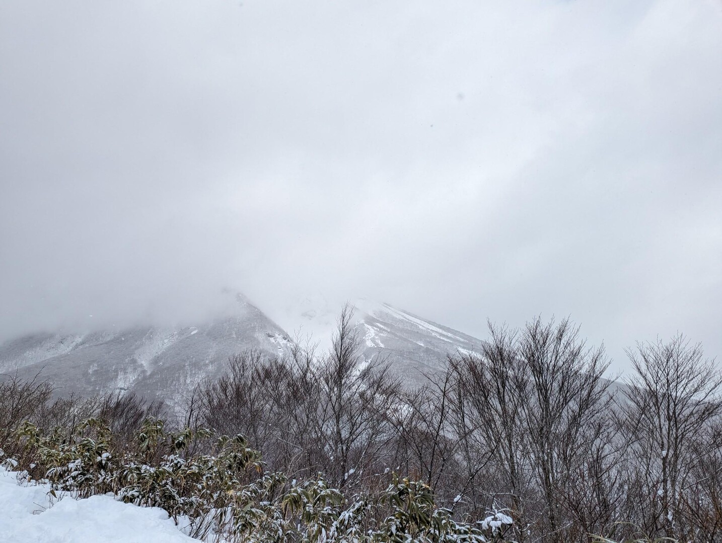 鞍掛山 / sin safaさんの岩手山・黒倉山・鞍掛山の活動データ | YAMAP / ヤマップ
