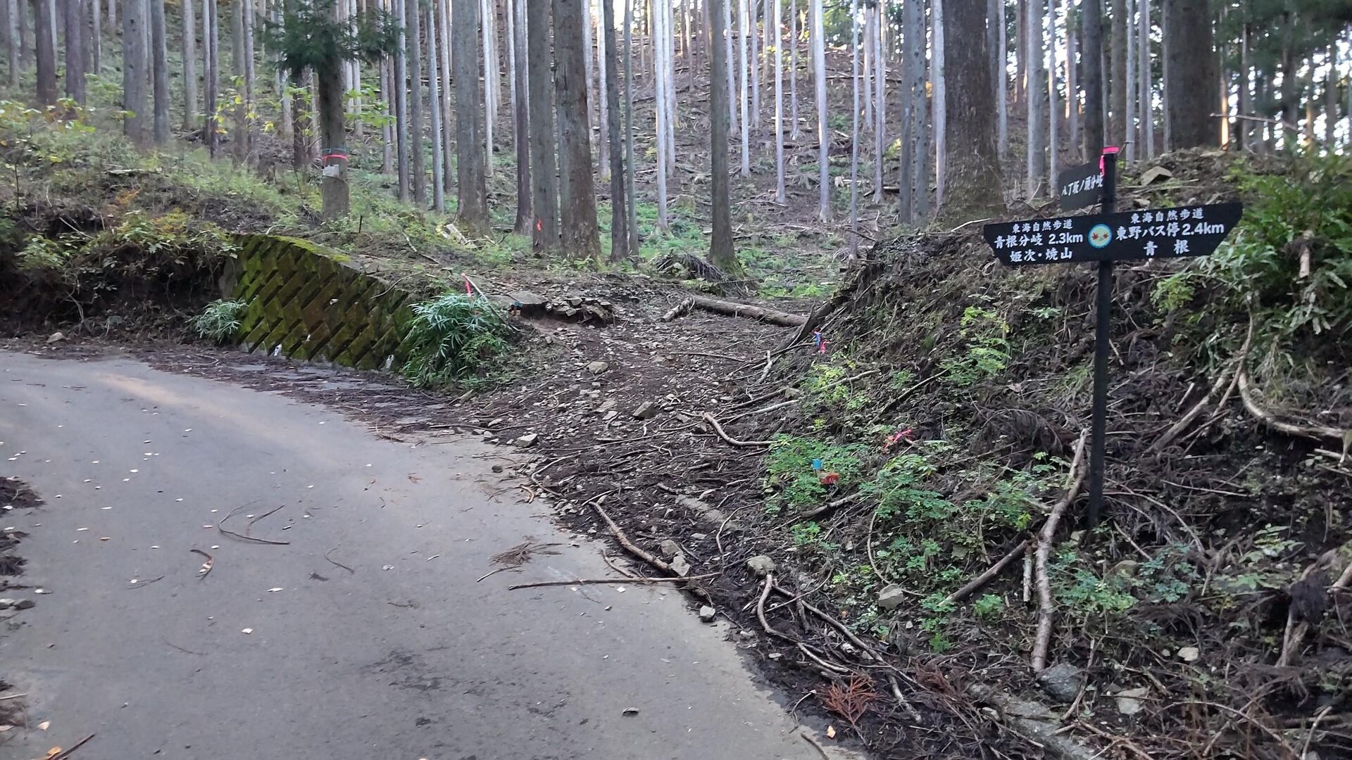 蛭ヶ岳青根登山口からの八丁坂コース分岐... / やまさんさんのモーメント | YAMAP / ヤマップ