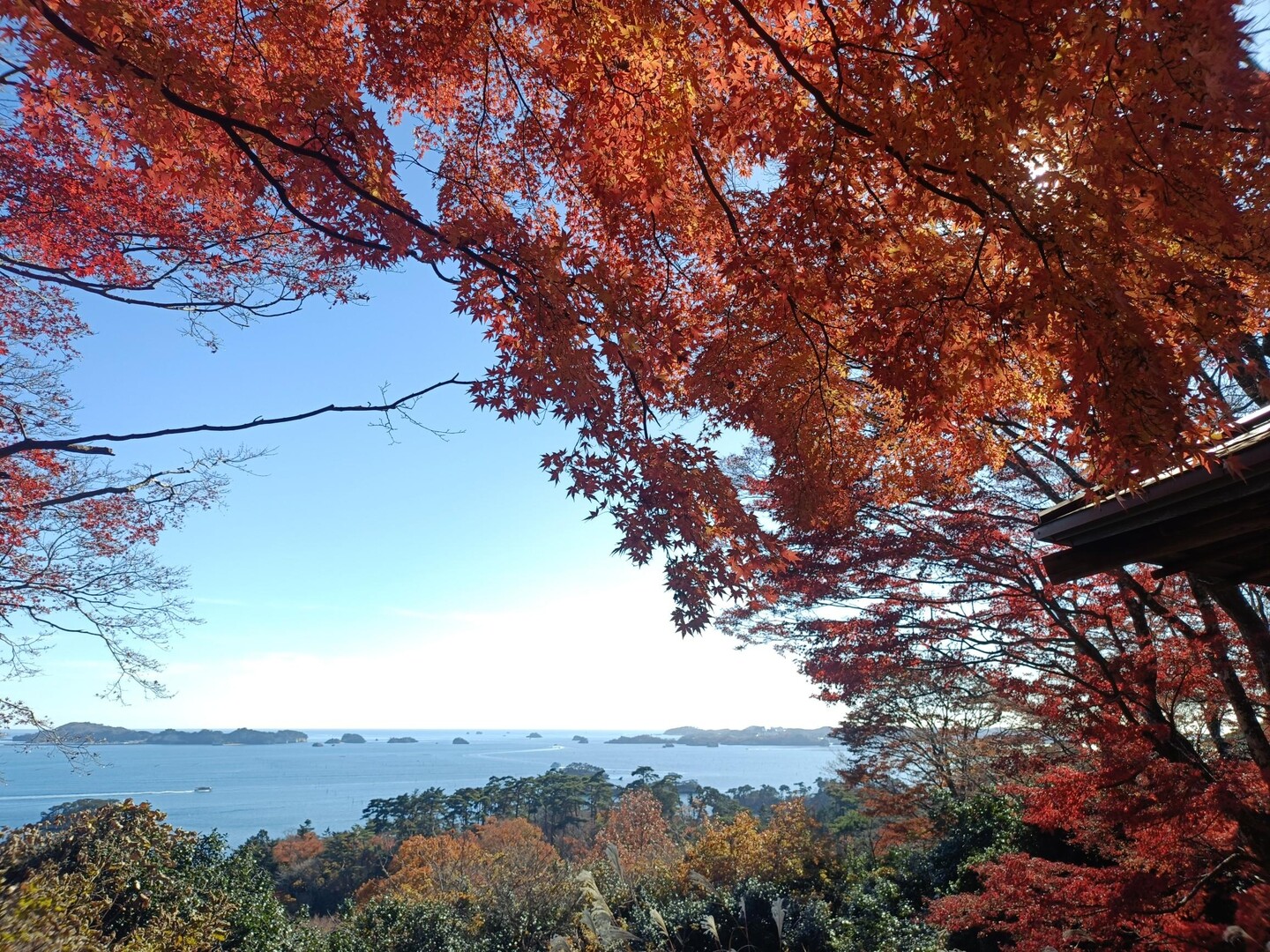 Matsusima in 🍂late autumn 🍂 / BLACK&REDさんの鷲尾山・扇谷山・新富山の活動データ | YAMAP / ヤマップ