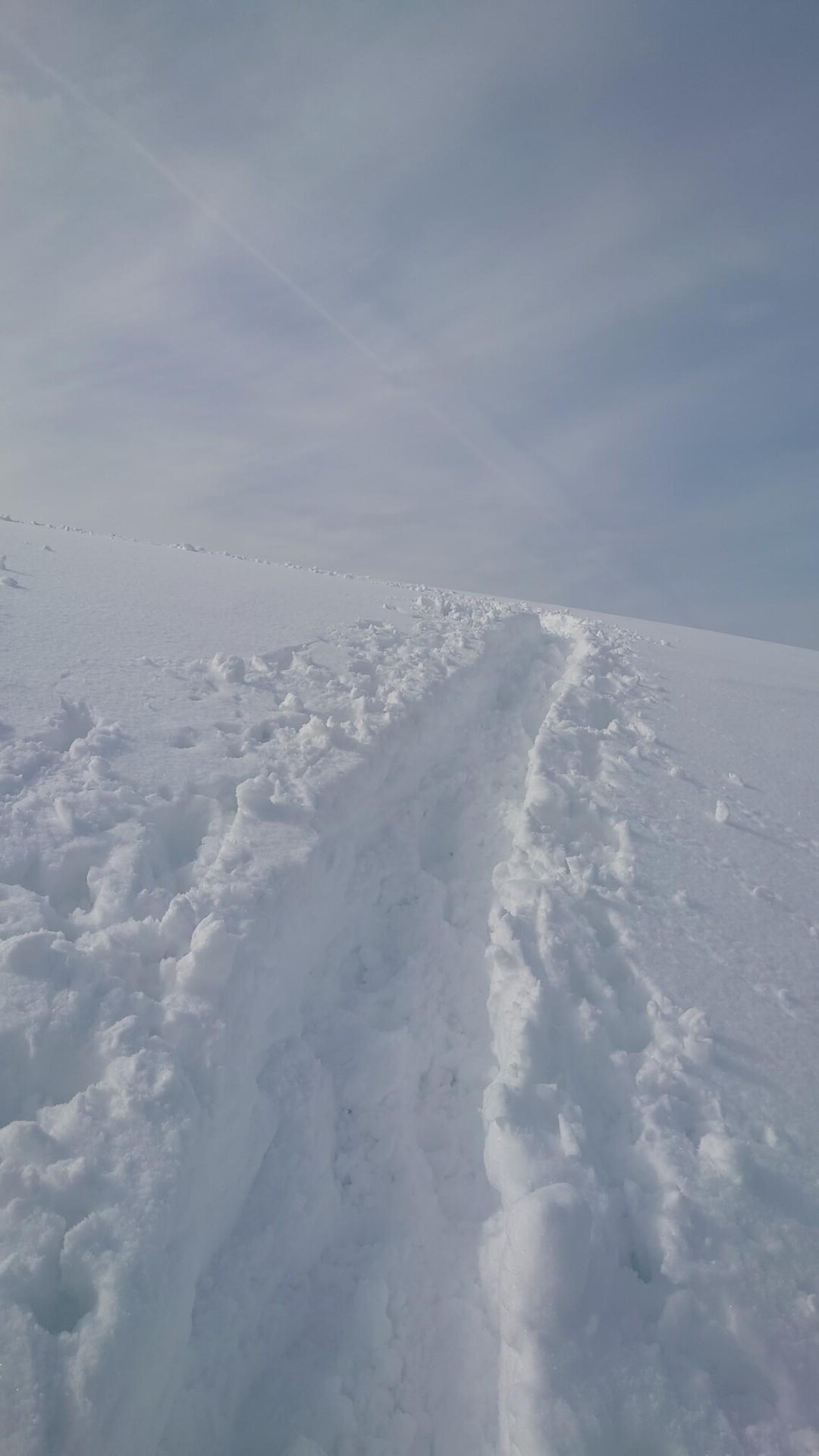 取立山・こつぶり山・護摩堂山 / keyさんの取立山の活動データ | YAMAP / ヤマップ