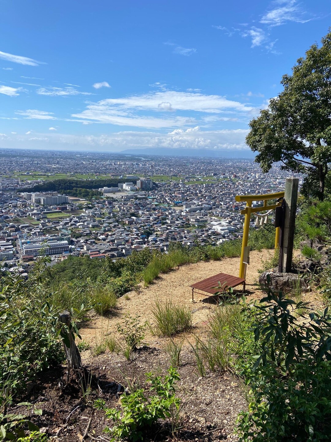 鷹巣御前・洞山・野一色権現山・鷹巣山 / ゆゆゆさんの金華山・洞山・舟伏山の活動データ | YAMAP / ヤマップ