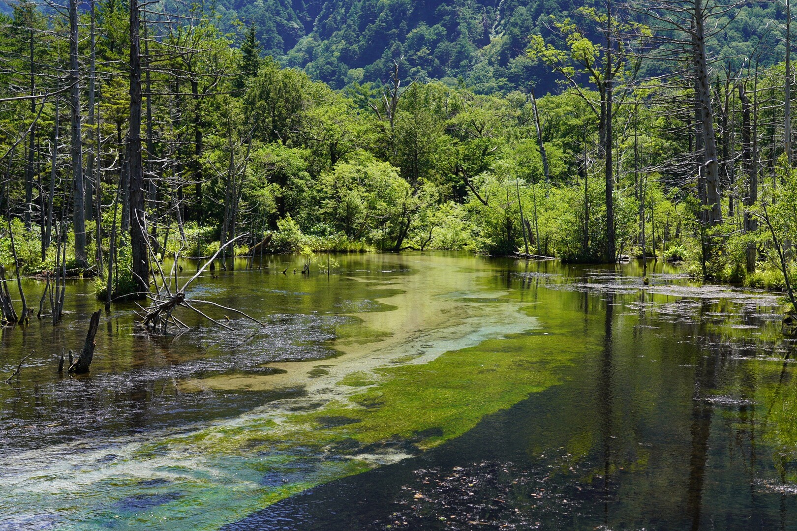 上高地散策 / puku68さんの槍ヶ岳・穂高岳・上高地の活動データ | YAMAP / ヤマップ