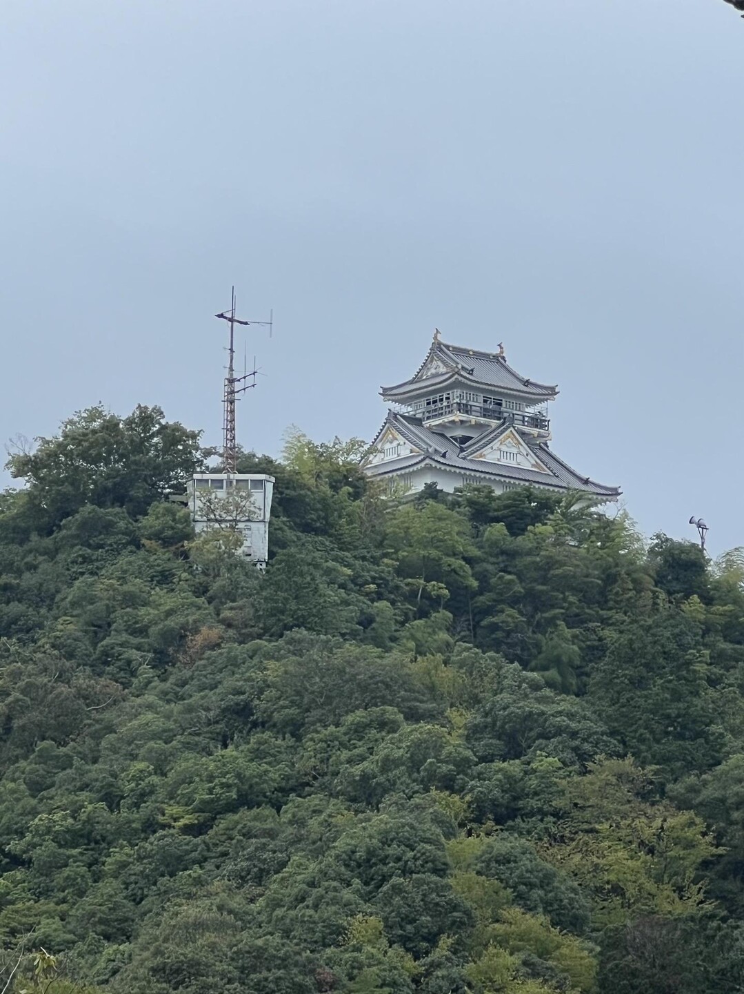 金華山GT とやらをやってみた😆 / ZO-kunさんの金華山・洞山・舟伏山の活動データ | YAMAP / ヤマップ