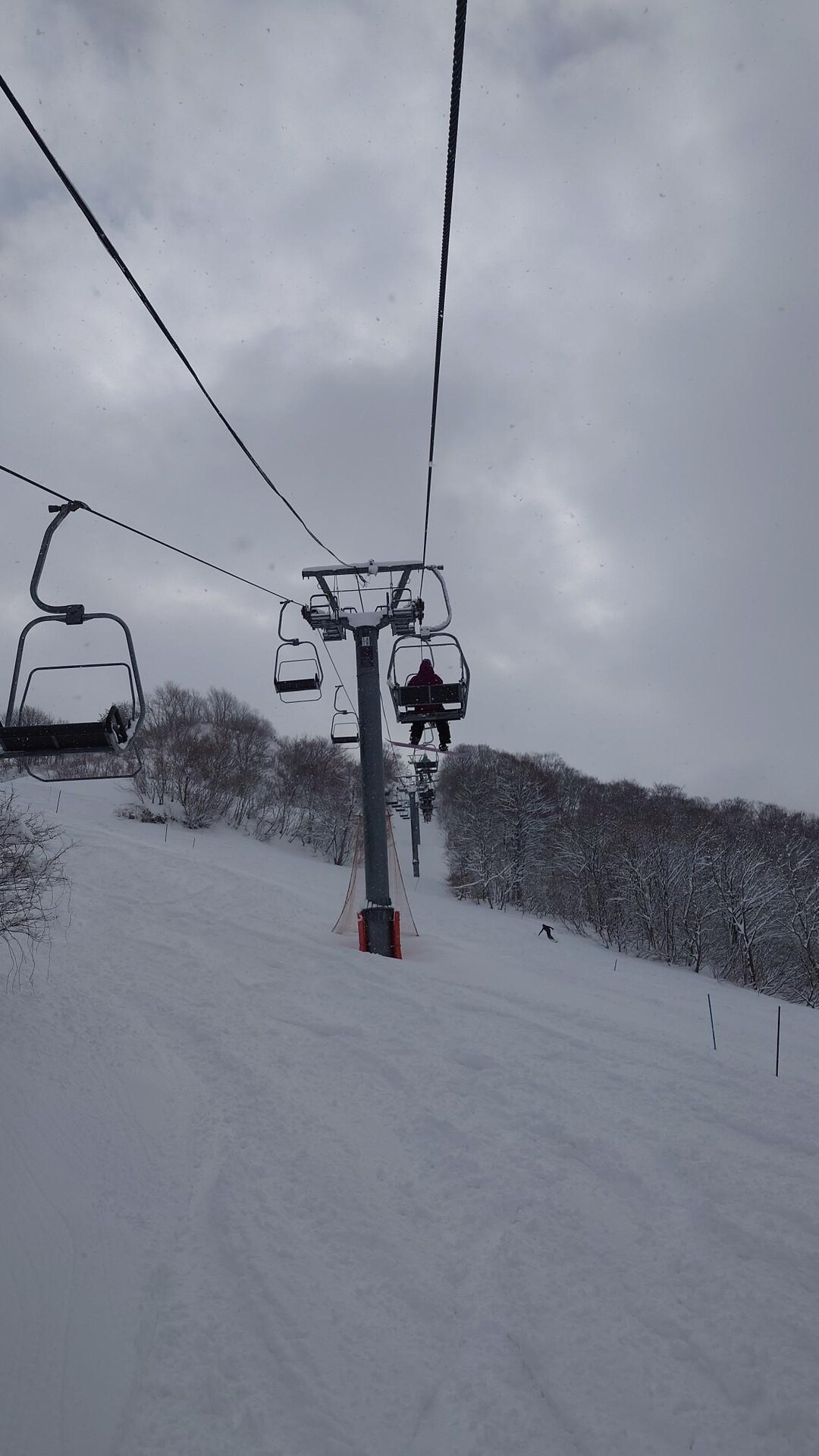 スノーボード日記 2/11松之山温泉スキ... / ko1さんのモーメント | YAMAP / ヤマップ