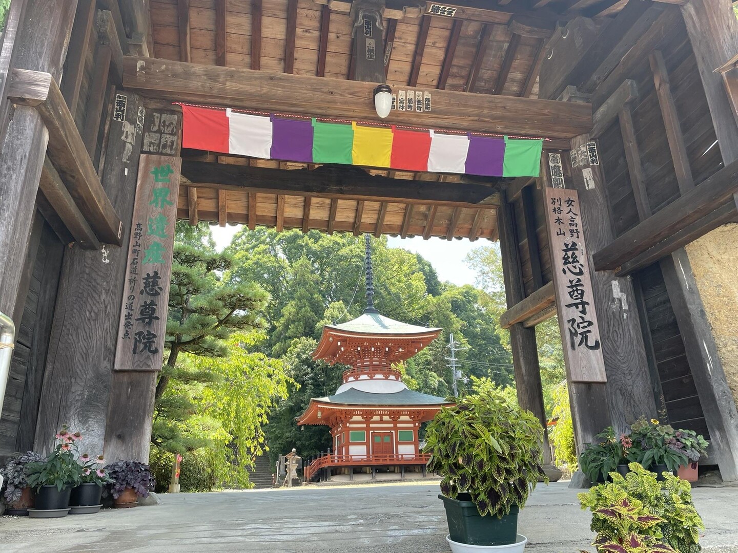 今日は自転車に乗って片道33kmの慈尊院... / yoshiさんのモーメント | YAMAP / ヤマップ