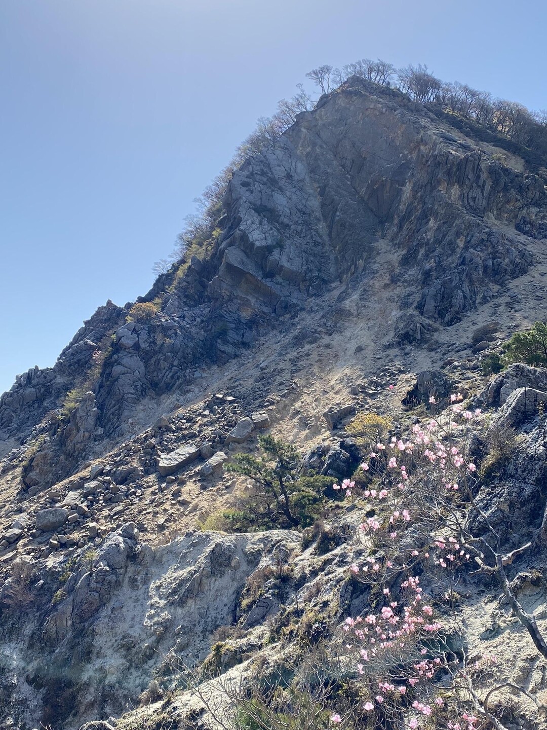 鎌ヶ岳 / miruさんの御在所岳（御在所山）・雨乞岳の活動データ | YAMAP / ヤマップ