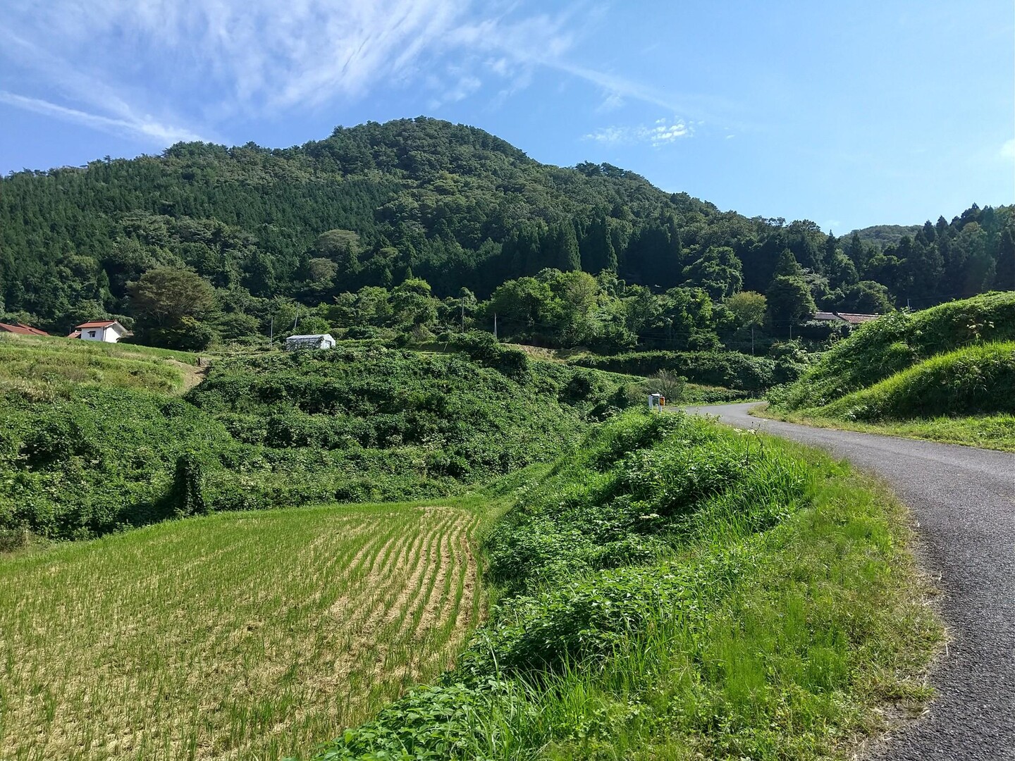 三子山 / mipotさんの大袋山・王院山・黒山の活動日記 | YAMAP / ヤマップ