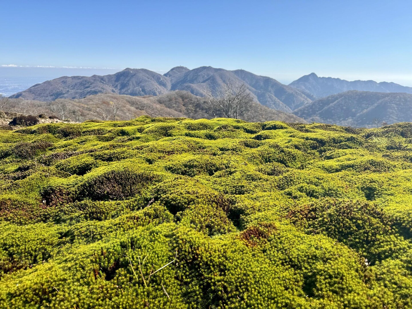 雨乞岳・イブネ・御在所岳(2024年47回目) / Jun-cさんの御在所岳（御在所山）・雨乞岳の活動日記 | YAMAP / ヤマップ