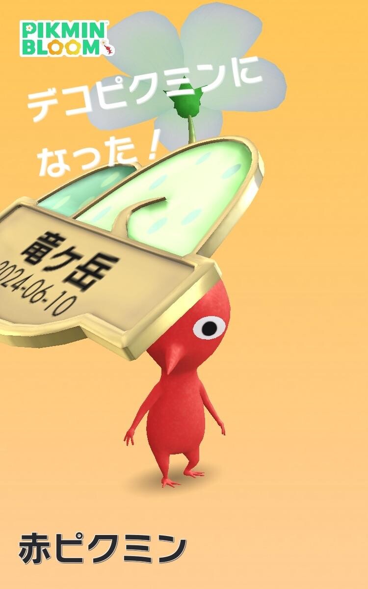 竜ヶ岳 鈴鹿7M / もりこみさんの竜ヶ岳の活動データ | YAMAP / ヤマップ