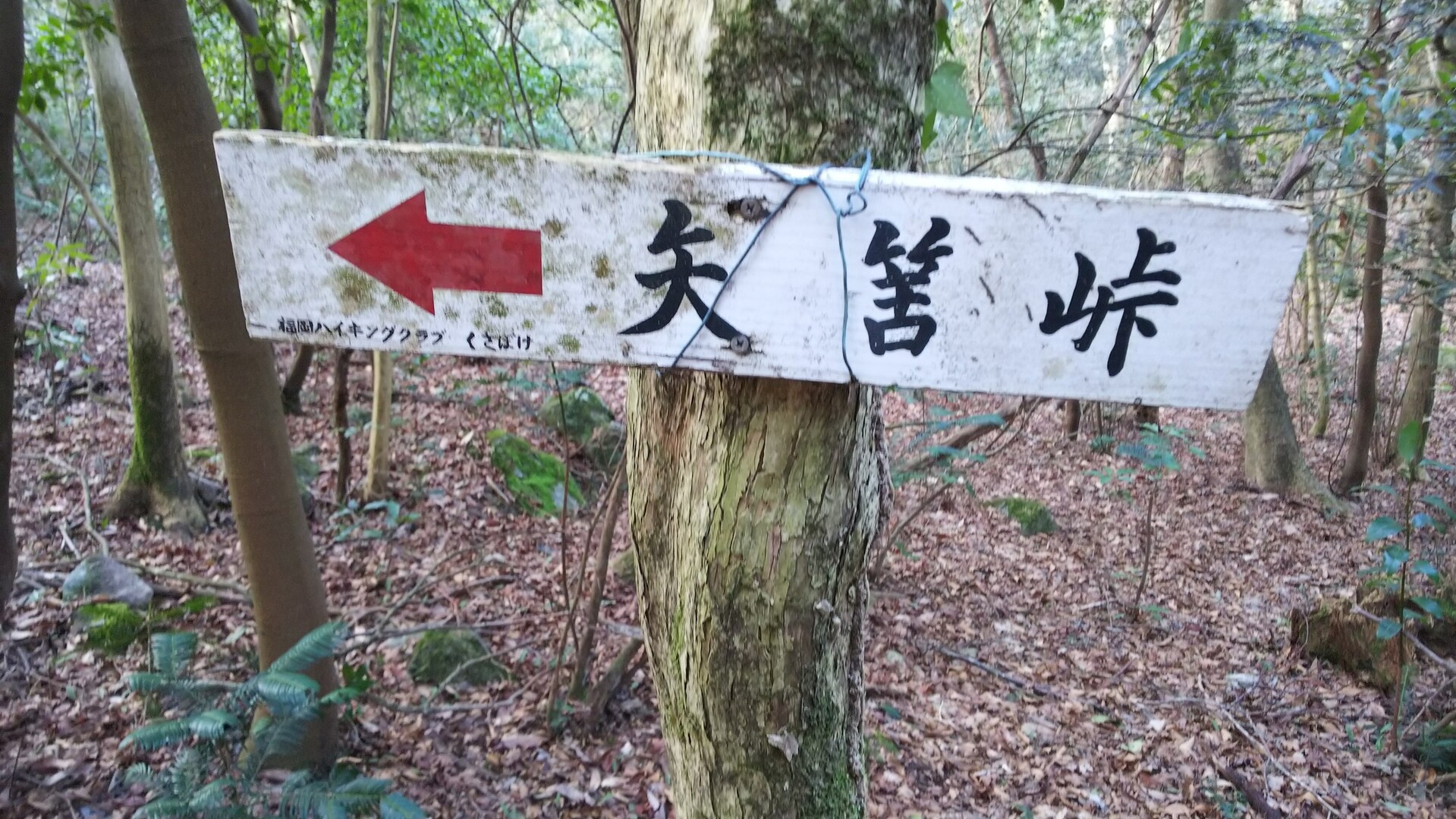 初めての背振山 馬しゃんさんの脊振山・金山の活動データ Yamap ヤマップ