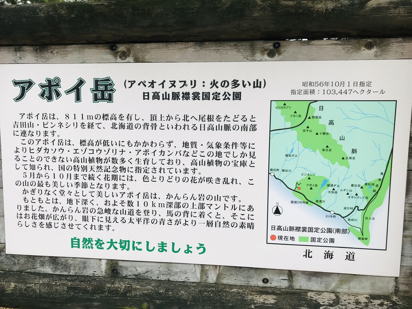 アポイ岳・吉田岳 / Kamexさんのアポイ岳の活動データ | YAMAP / ヤマップ