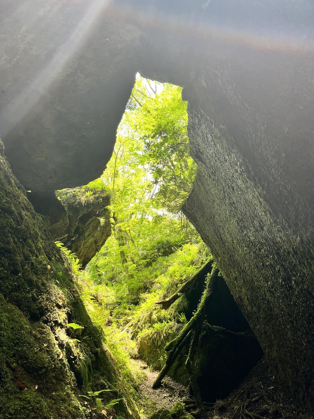 越後八十八ヶ所とcafe巡り / mierinさんの雨飾山・大渚山・天狗原山・戸倉山の活動データ | YAMAP / ヤマップ