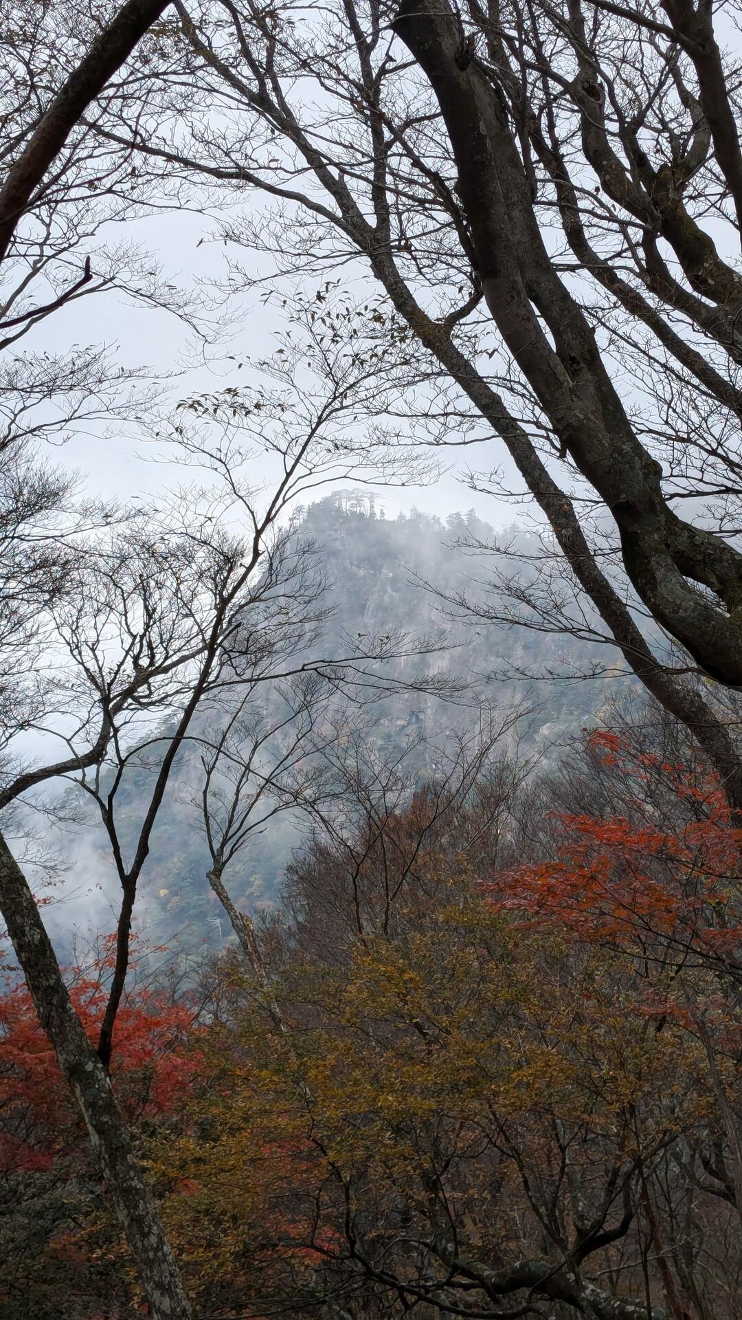 傾山（真っ白！） / 5959さんの傾山の活動データ | YAMAP / ヤマップ