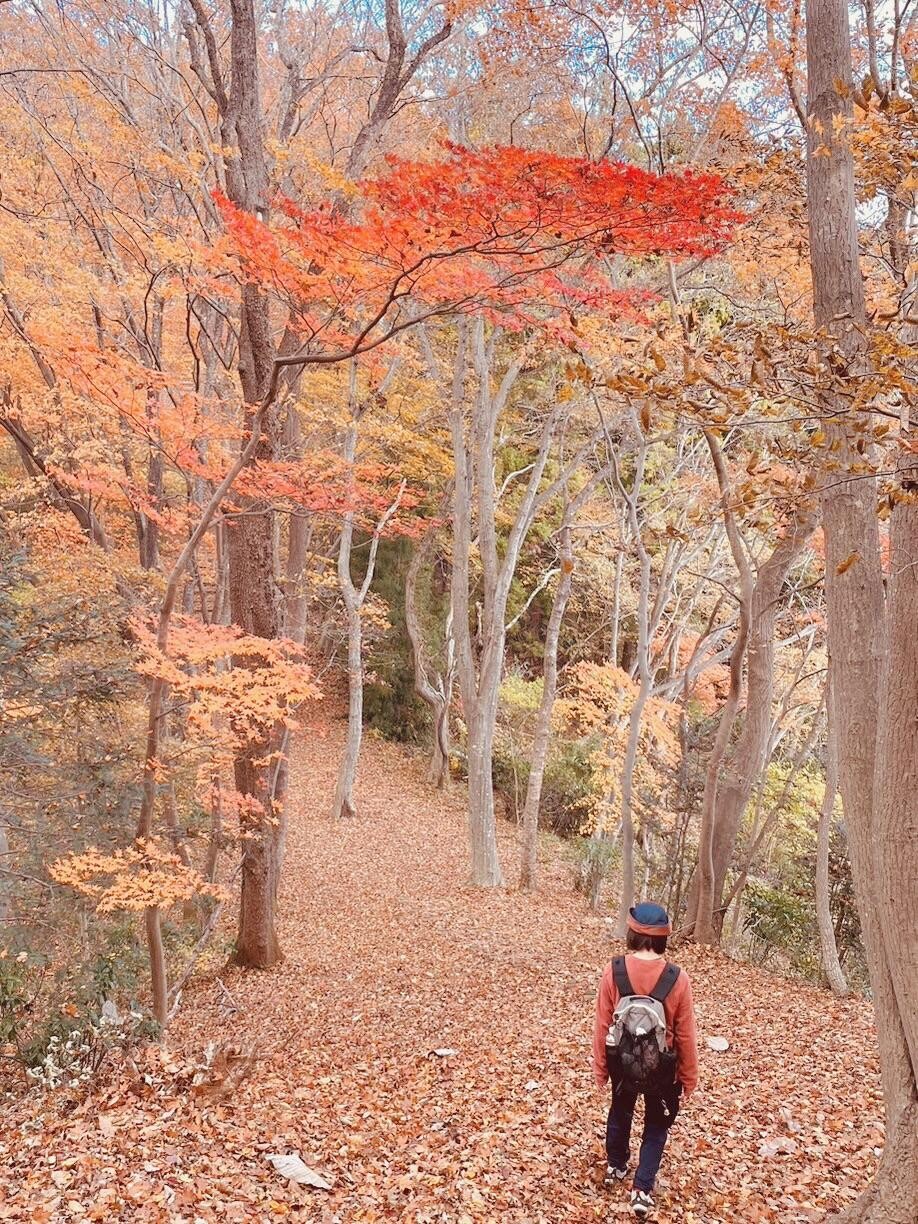 meguのページ | YAMAP / ヤマップ