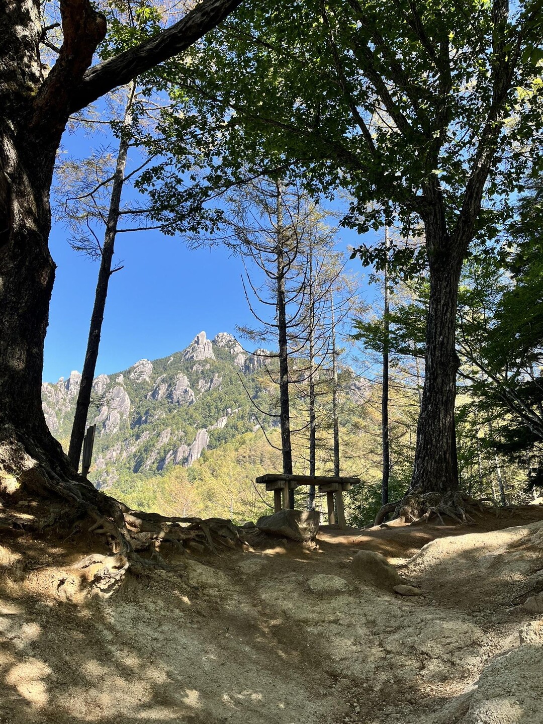 日帰り紅葉前瑞牆山 / sk.jpさんの瑞牆山・金峰山の活動データ | YAMAP / ヤマップ