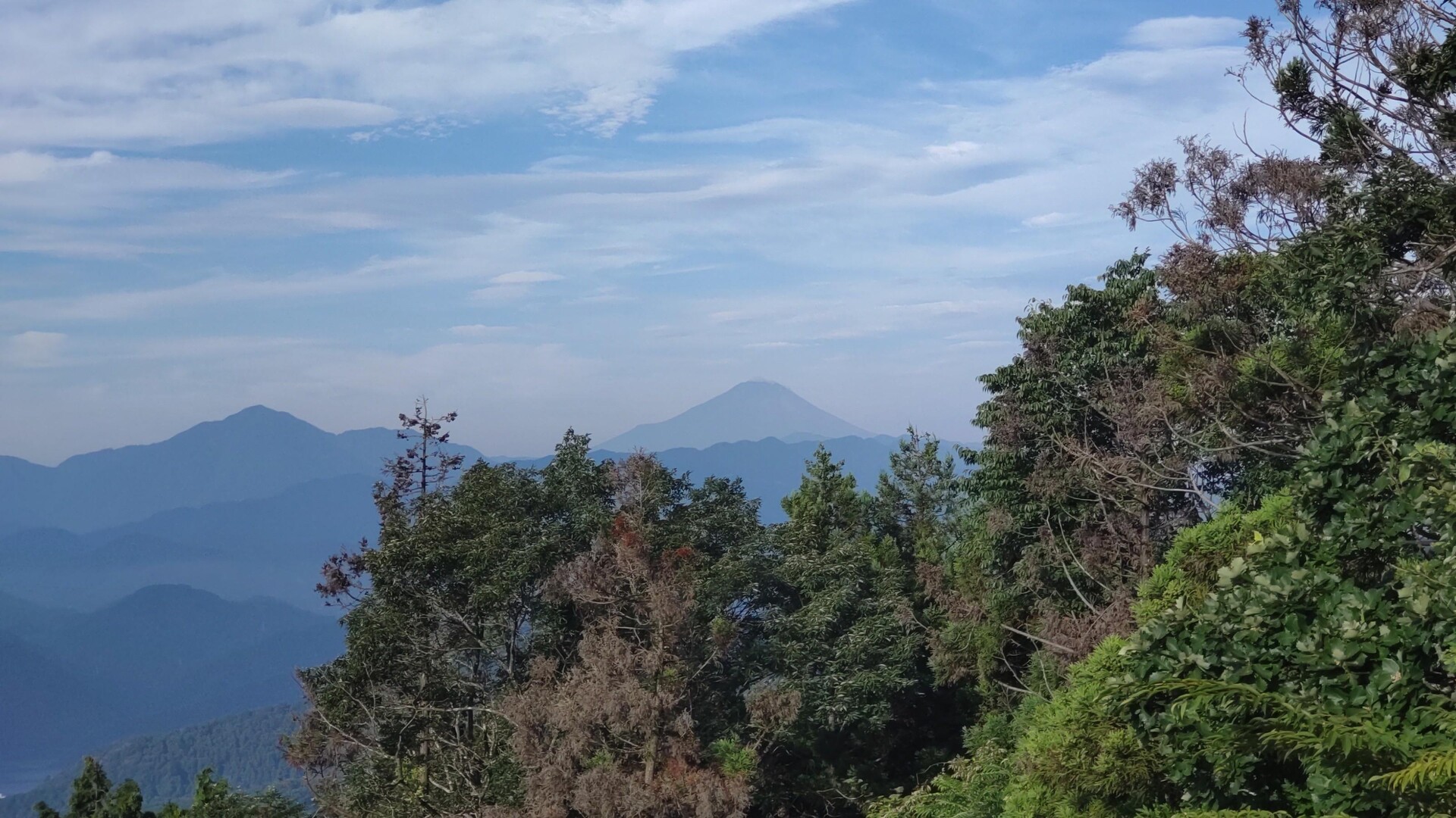 城山（小仏城山）・景信山・逆沢の頭・大久保山・478m圏峰 / ゲッタマさんの高尾山・陣馬山・景信山の活動データ | YAMAP / ヤマップ