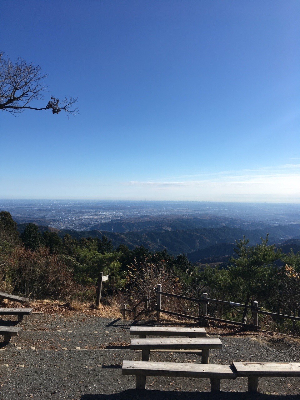 大塚山・日の出山、眺望最高なお手軽縦走。 / katsさんの大岳山・御岳山・御前山の活動データ | YAMAP / ヤマップ