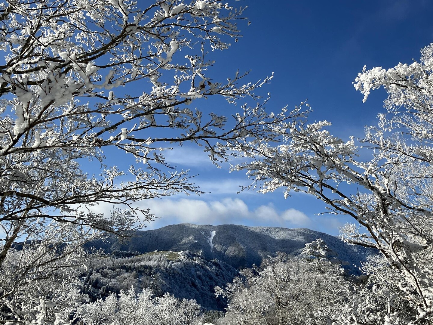 富士見台 / あぶりさんの恵那山・大判山・神坂山の活動データ | YAMAP / ヤマップ