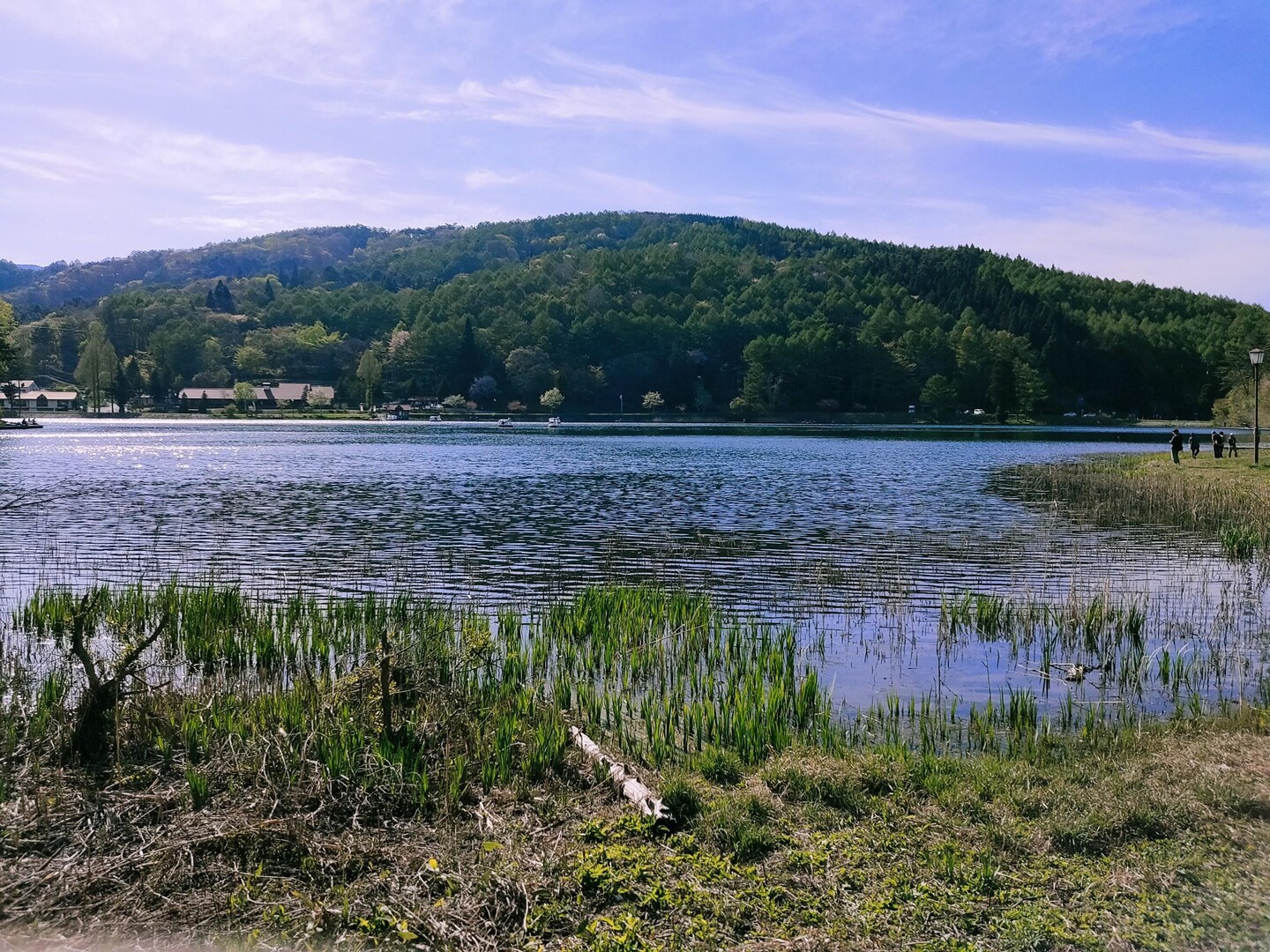 三峯山(聖高原スキー場) / kooさんの聖山の活動データ | YAMAP / ヤマップ