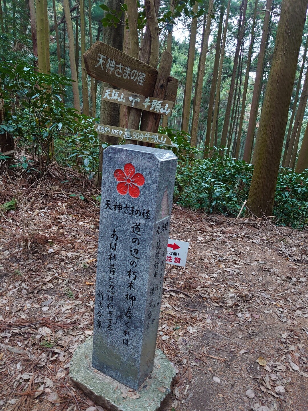 天拝山-2020-01-12 / kaz23さんの天拝山・基山の活動データ | YAMAP / ヤマップ