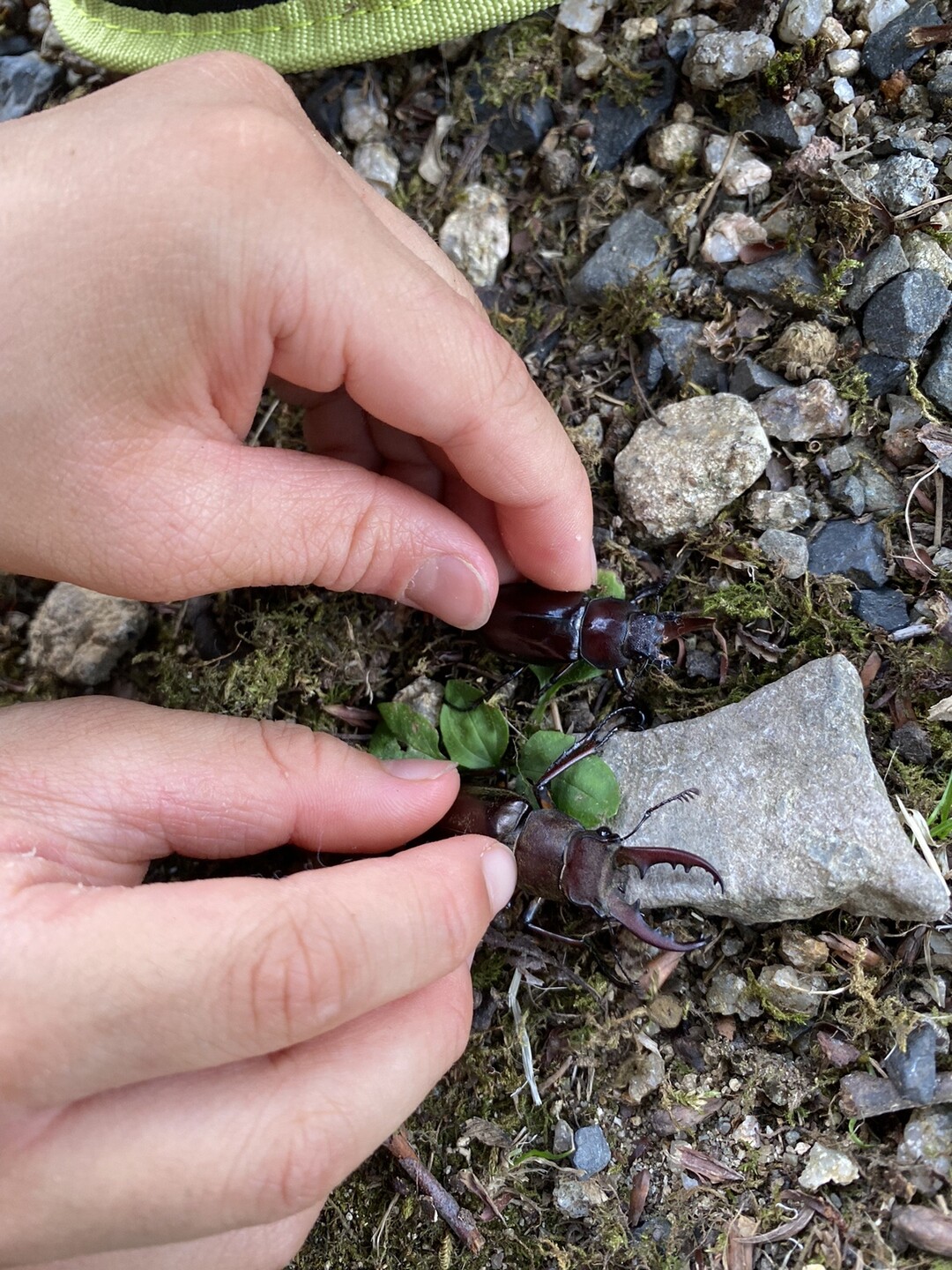 ウォーキング-2022-08-10 / yumieさんのウォーキングの活動データ | YAMAP / ヤマップ