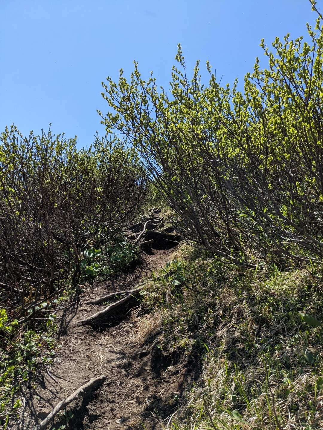 sayuさんの投稿したフィールドメモ | YAMAP / ヤマップ