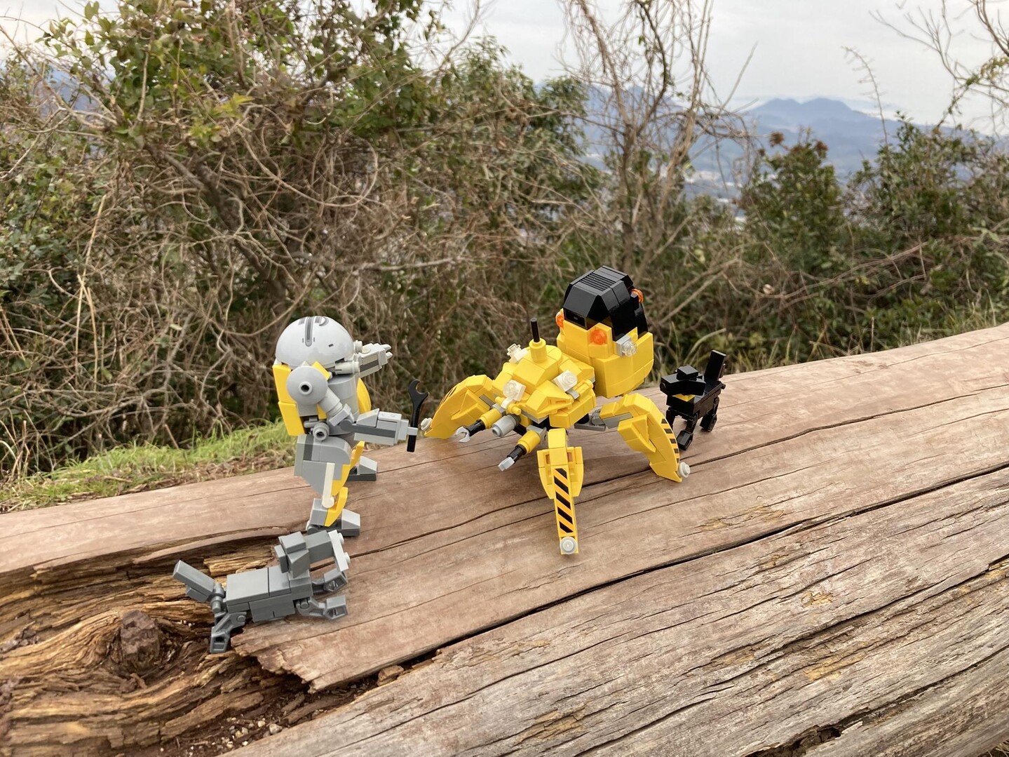 可也山 / Suyamaさんの可也山・火山の活動データ | YAMAP / ヤマップ