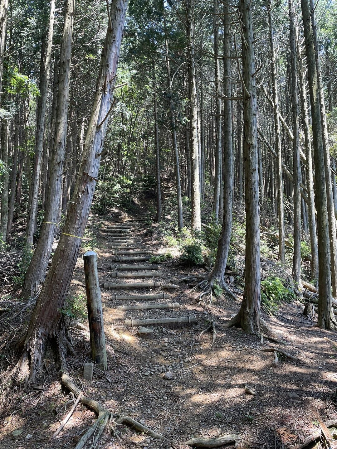 最勝ヶ峰 / memiさんの六個山・鉢伏山・明ヶ田尾山・五月山の活動データ | YAMAP / ヤマップ