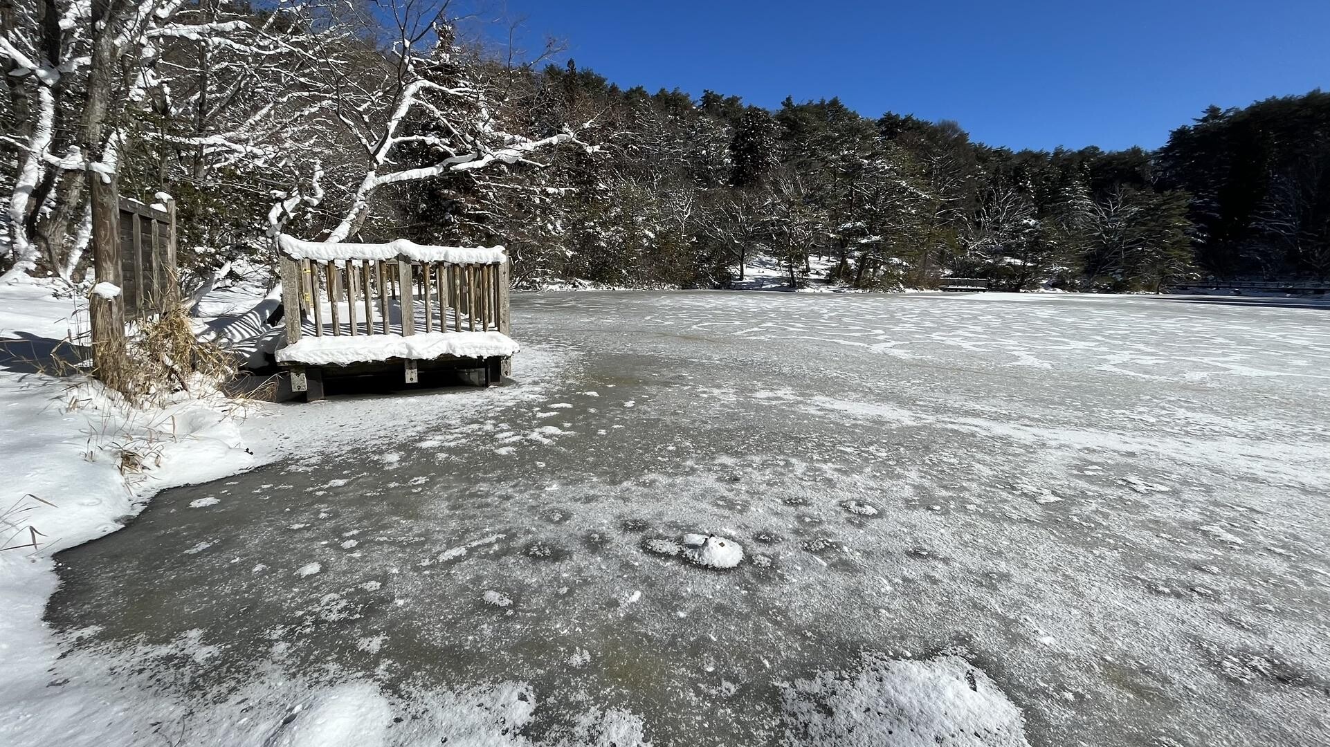 極楽寺山 / ninoさんの極楽寺山の活動データ | YAMAP / ヤマップ