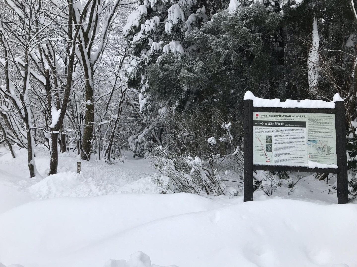 坊領道〜あけまの森-2024-01-25 / akkieさんの孝霊山・佐摩山の活動データ | YAMAP / ヤマップ