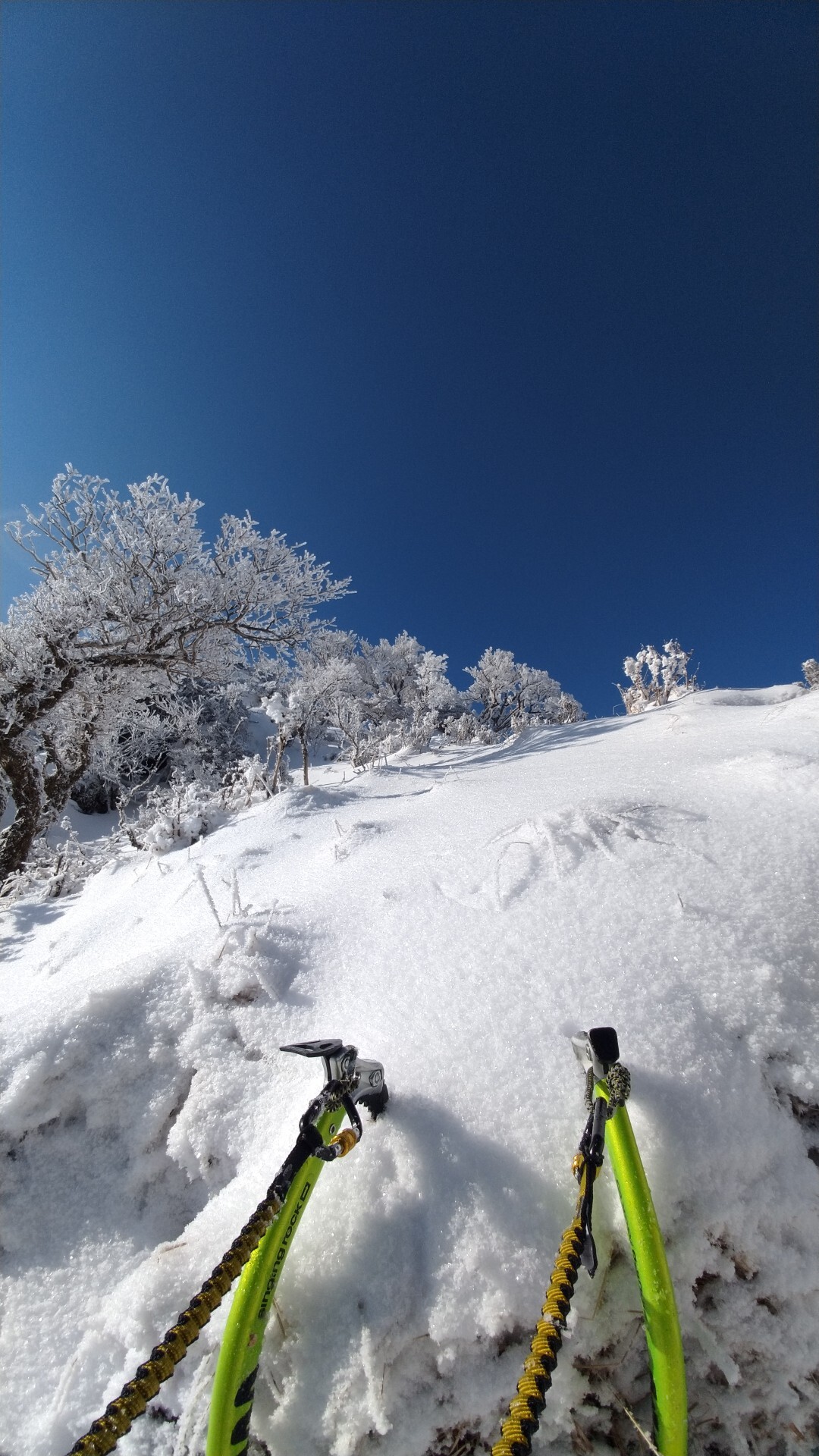 sing, sing, sing, everybody Singing Rock / obrさんの由布岳・鶴見岳の活動データ | YAMAP / ヤマップ