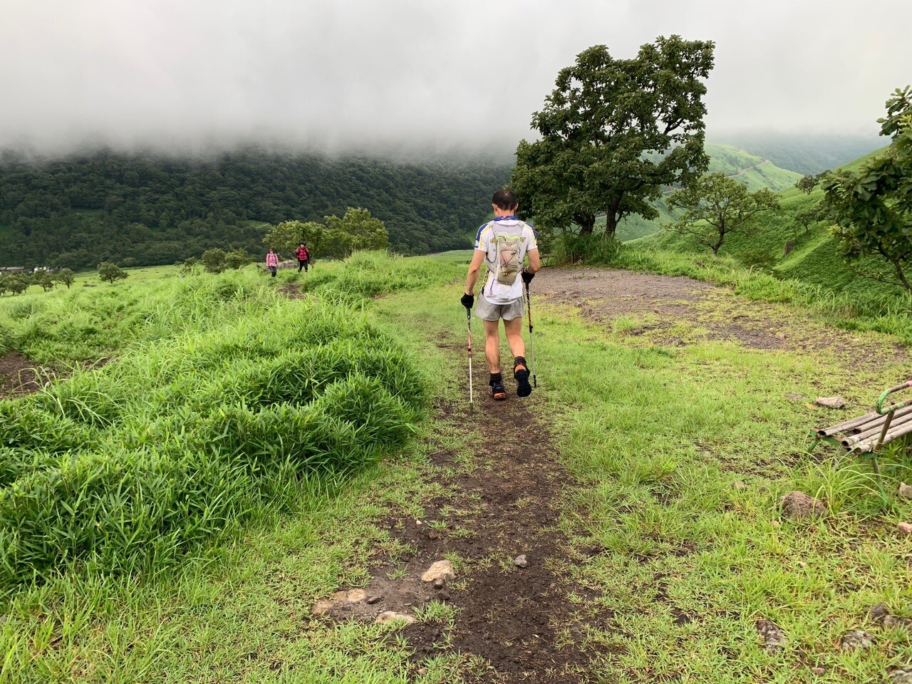 由布岳-超人文太郎さんについて行こう！編最終章 / のの字さんの由布岳・鶴見岳の活動データ | YAMAP / ヤマップ