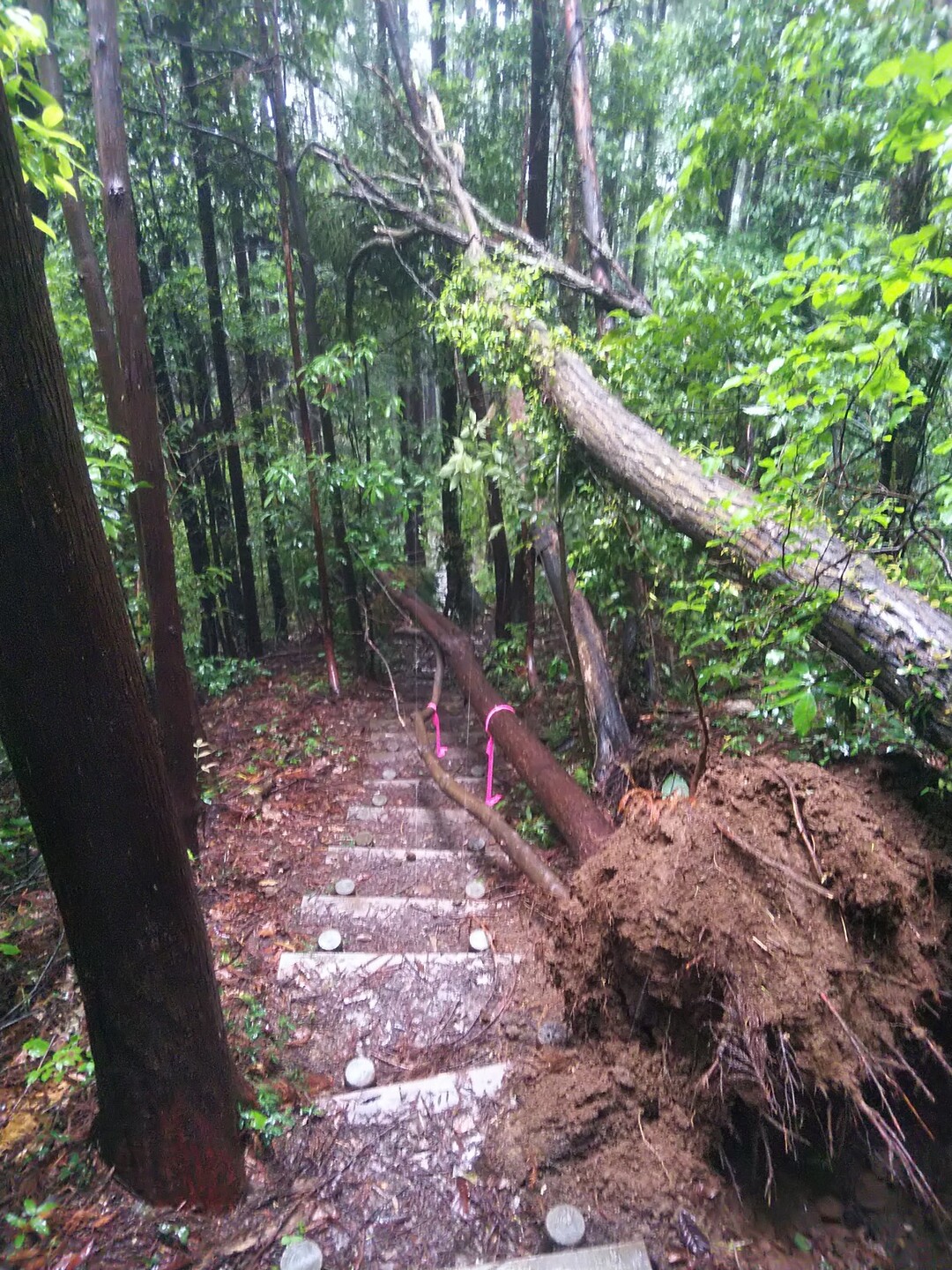 Yuuki.Yさんの投稿したフィールドメモ | YAMAP / ヤマップ