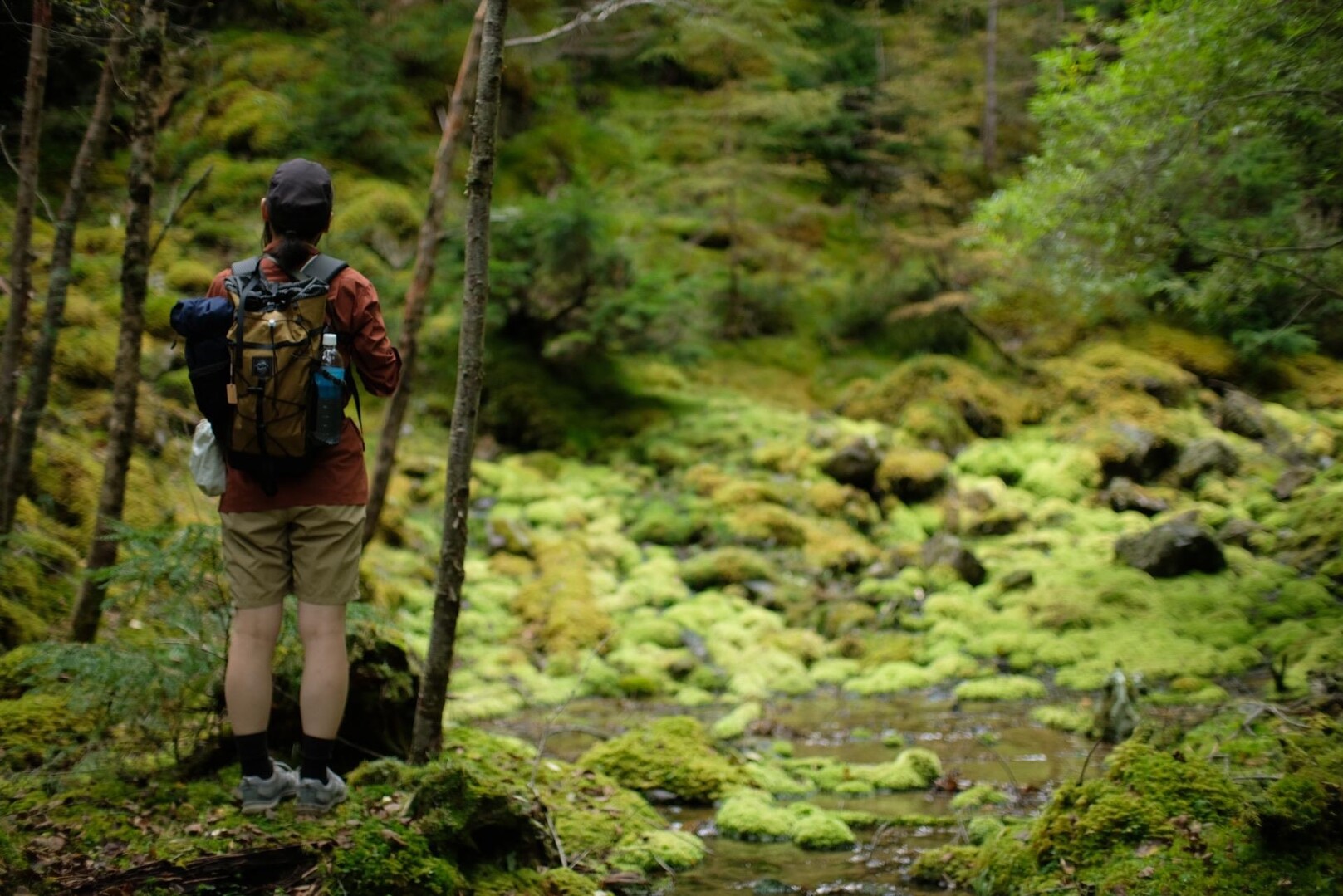 甲武信ヶ岳 / YUIさんの甲武信ヶ岳の活動データ | YAMAP / ヤマップ
